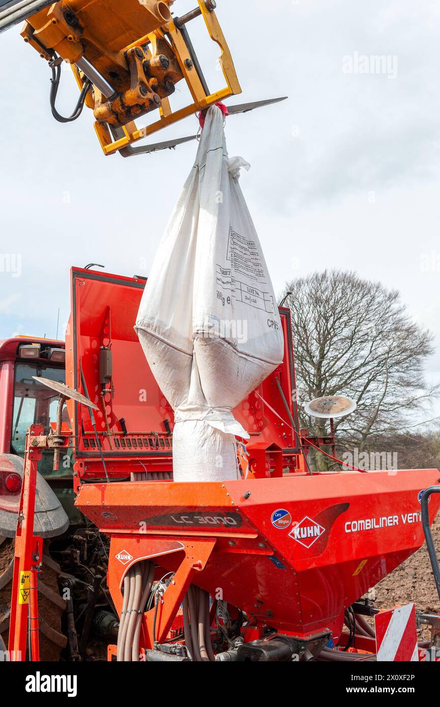 Loading wheat seed into a seed drill mounted on a Valtra tractor, on an ...