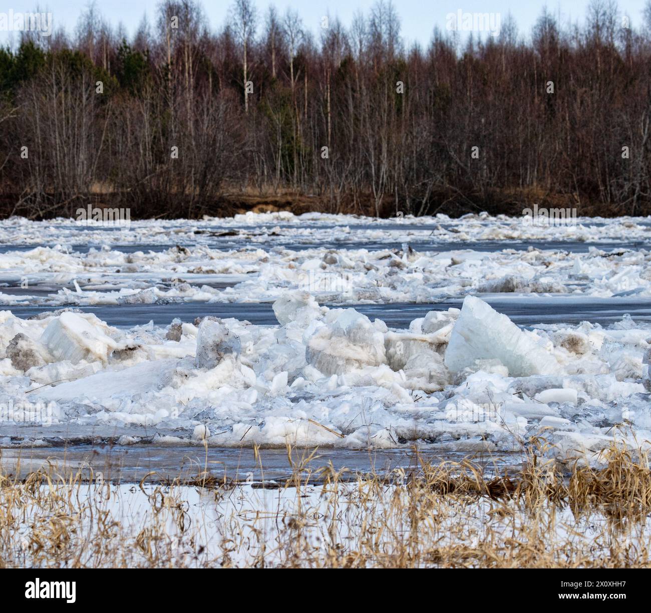 A landscape of an ice drift (ice-boom, debacle) on the northern river ...