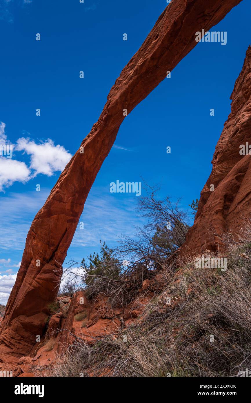 Dicks arch hi-res stock photography and images - Alamy