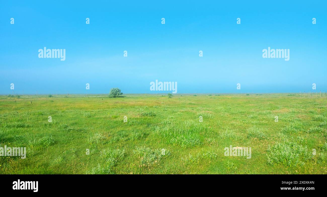 Steppe in the rear of the sea dune. The plain of Lake Sivash. Free ...
