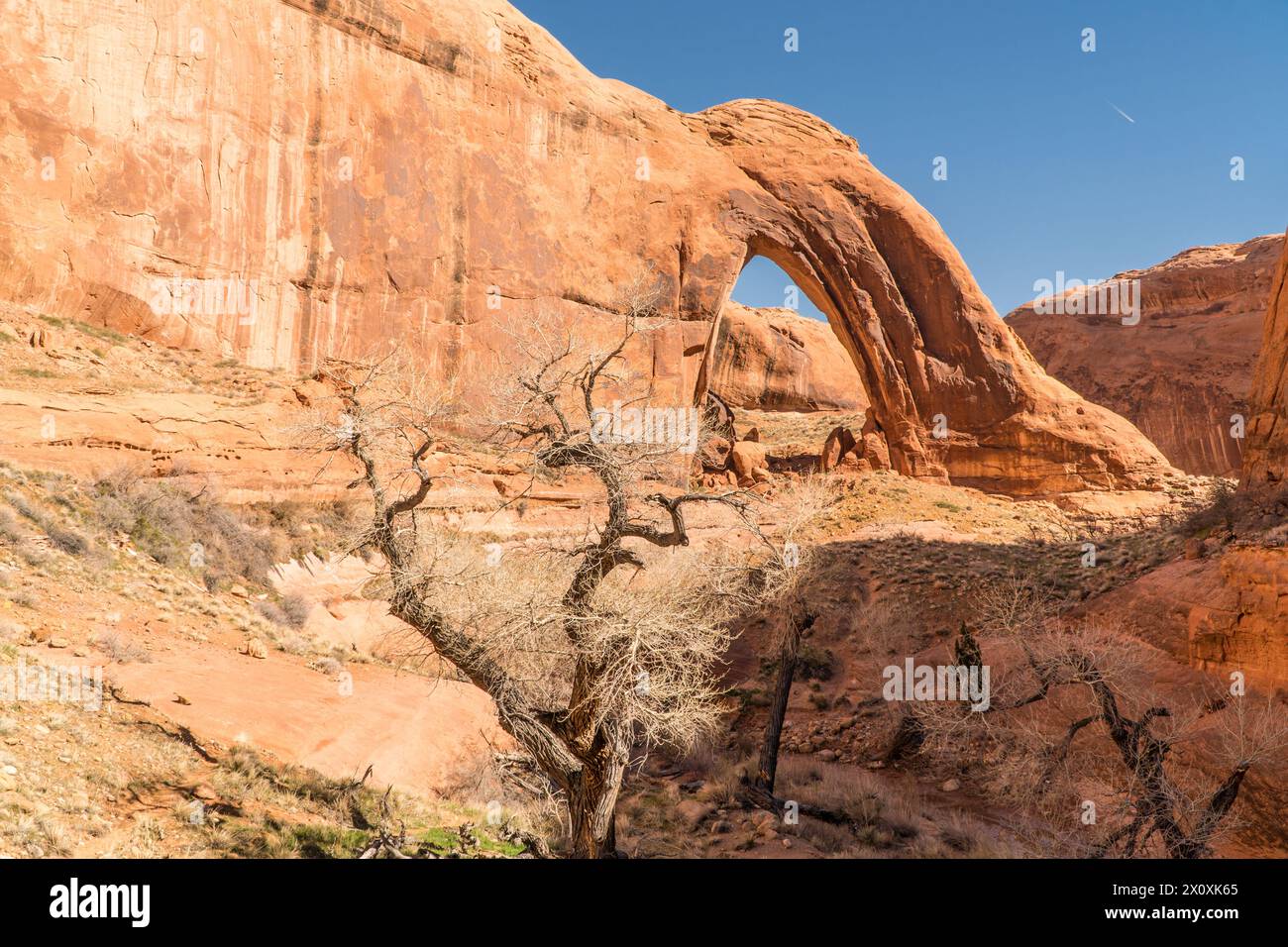 Broken Bow Arch, Utah, USA Stock Photo - Alamy
