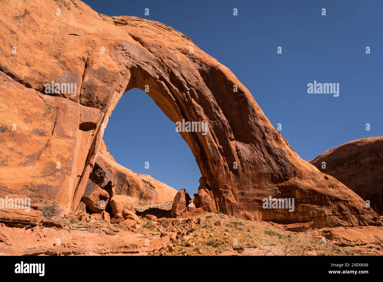Broken Bow Arch, Utah, USA Stock Photo - Alamy