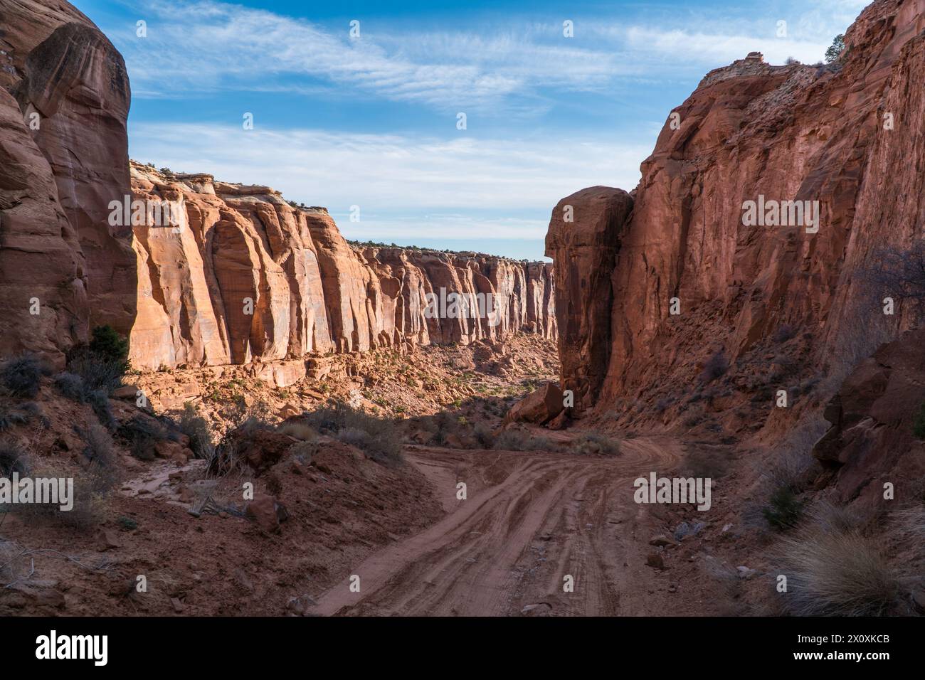 Long canyon road hi-res stock photography and images - Alamy