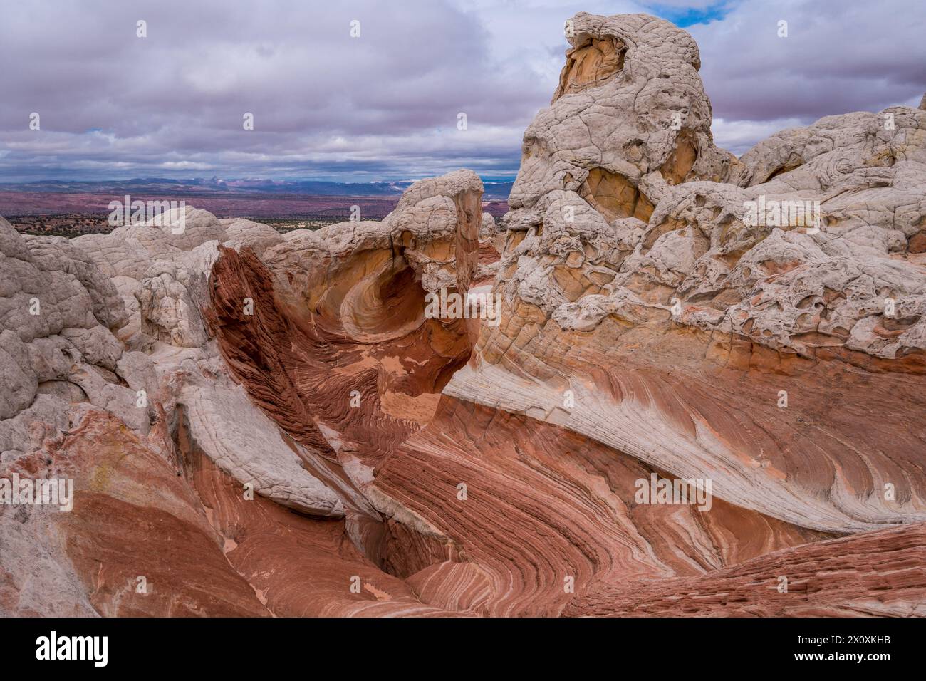 White pocket arizona hi-res stock photography and images - Alamy