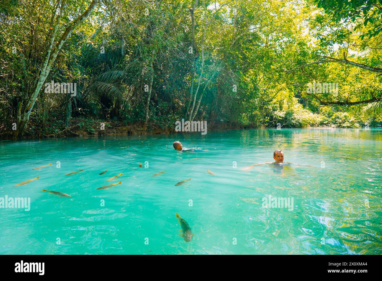 Tourists swim with the fish, in the municipal resort, in Bonito, in ...