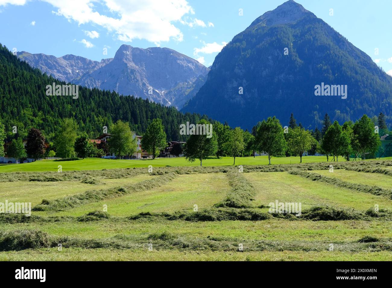 Beautiful Alpine landscape with green mountains and valley, mountain ...