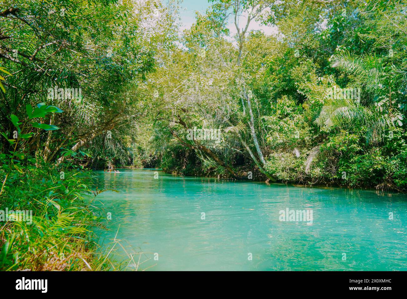 Rio Formoso, in the city of Bonito, in Mato Grosso do Sul. Bonito is ...