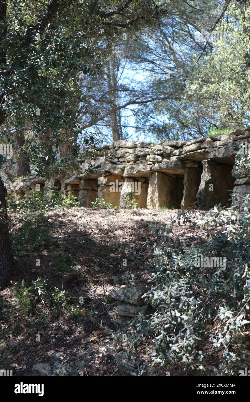 Reportage at Cornillon-Confoux : Greco-Roman wall of bees Stock Photo ...