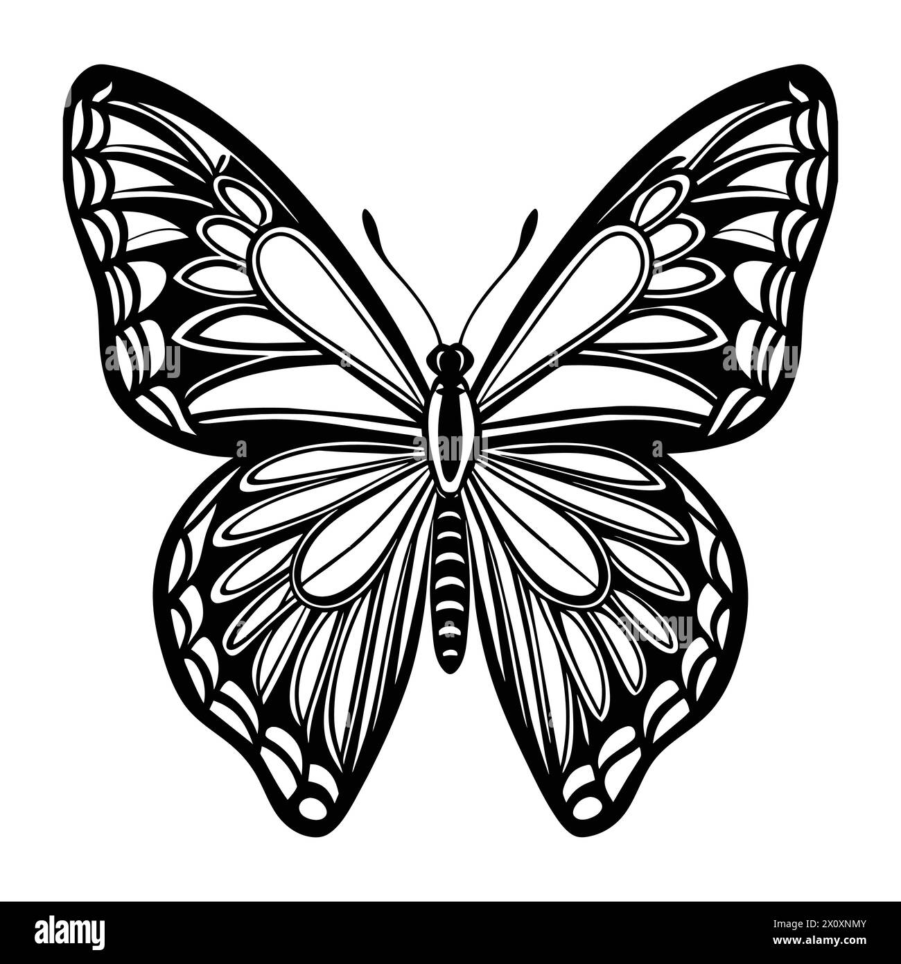Butterfly, line art, no background-"Graceful Butterfly Line Art ...