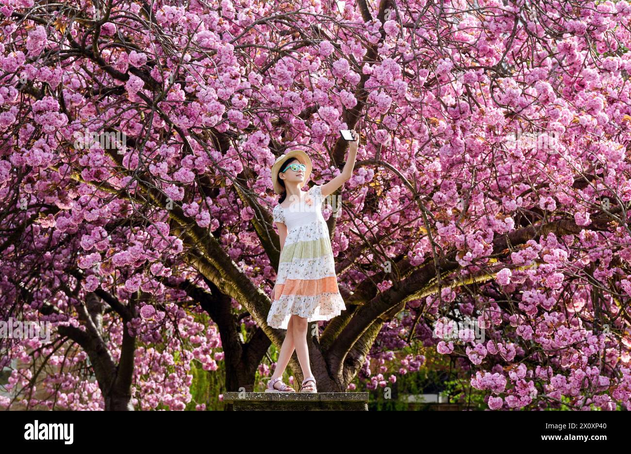 Photograph posed by model. Maja Lawson takes a photograph as she enjoys ...