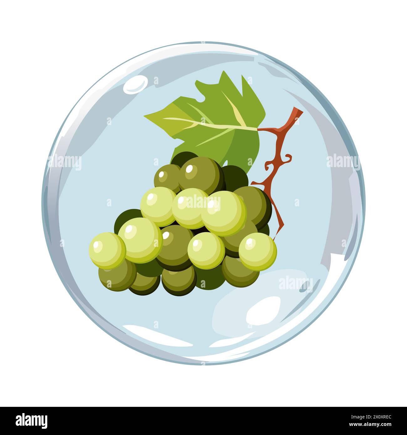 Healthy green grape in air bubble. Isolated vector illustration on ...
