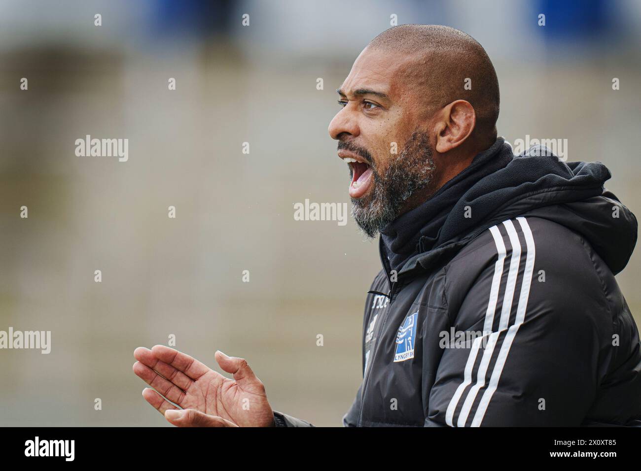 David nielsen hi-res stock photography and images - Alamy