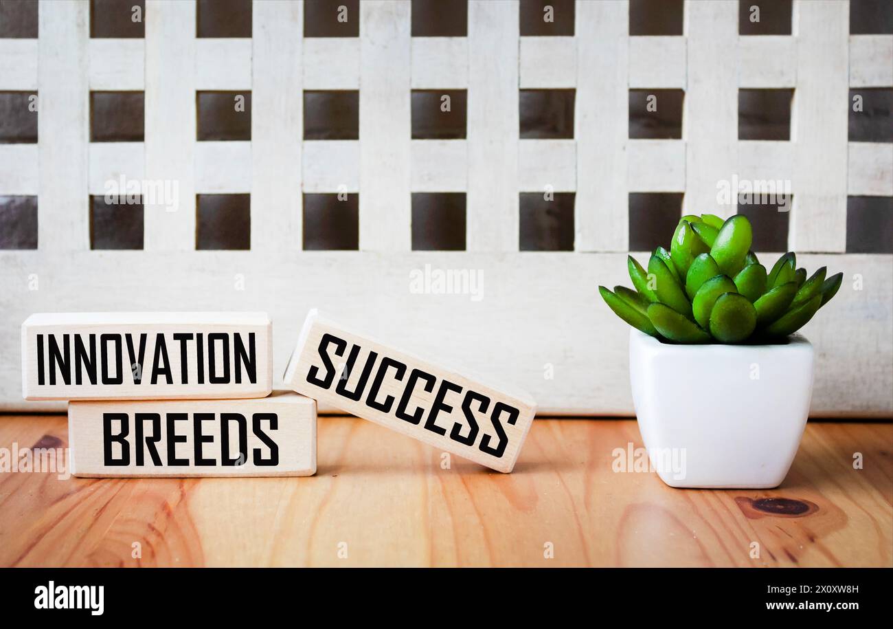 Wooden blocks with text Innovation breeds success, beautiful vintage ...