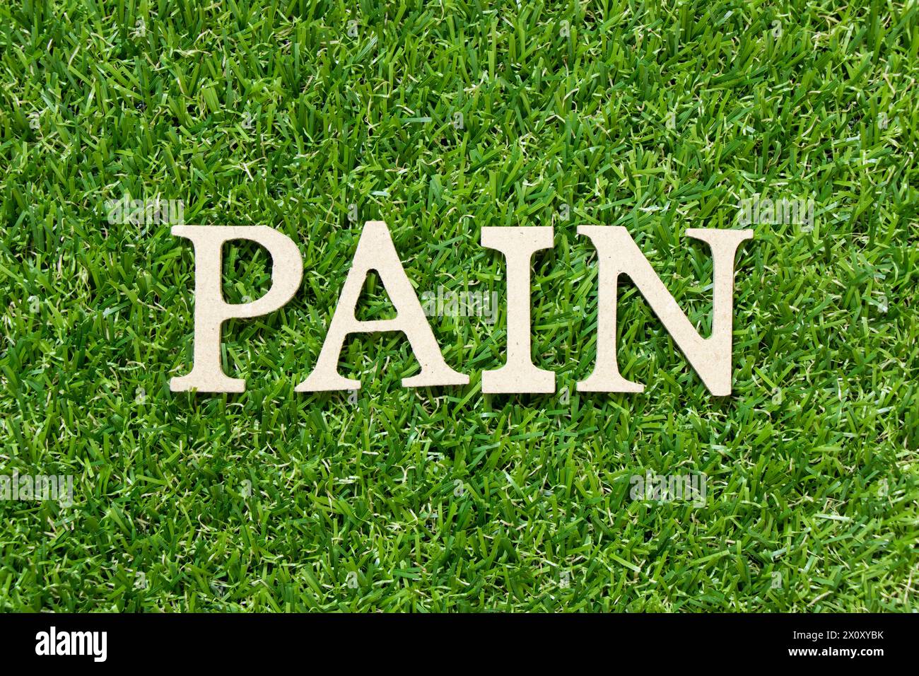 Wood letter in word pain on green grass background Stock Photo - Alamy
