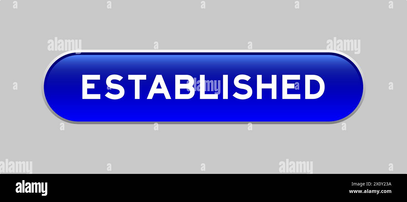 Blue color capsule shape button with word established on gray ...