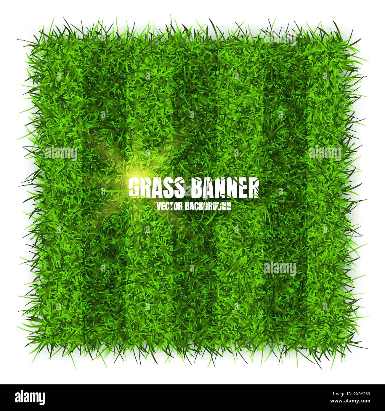 Green grass banners, background. Field, meadow texture, grassy ...