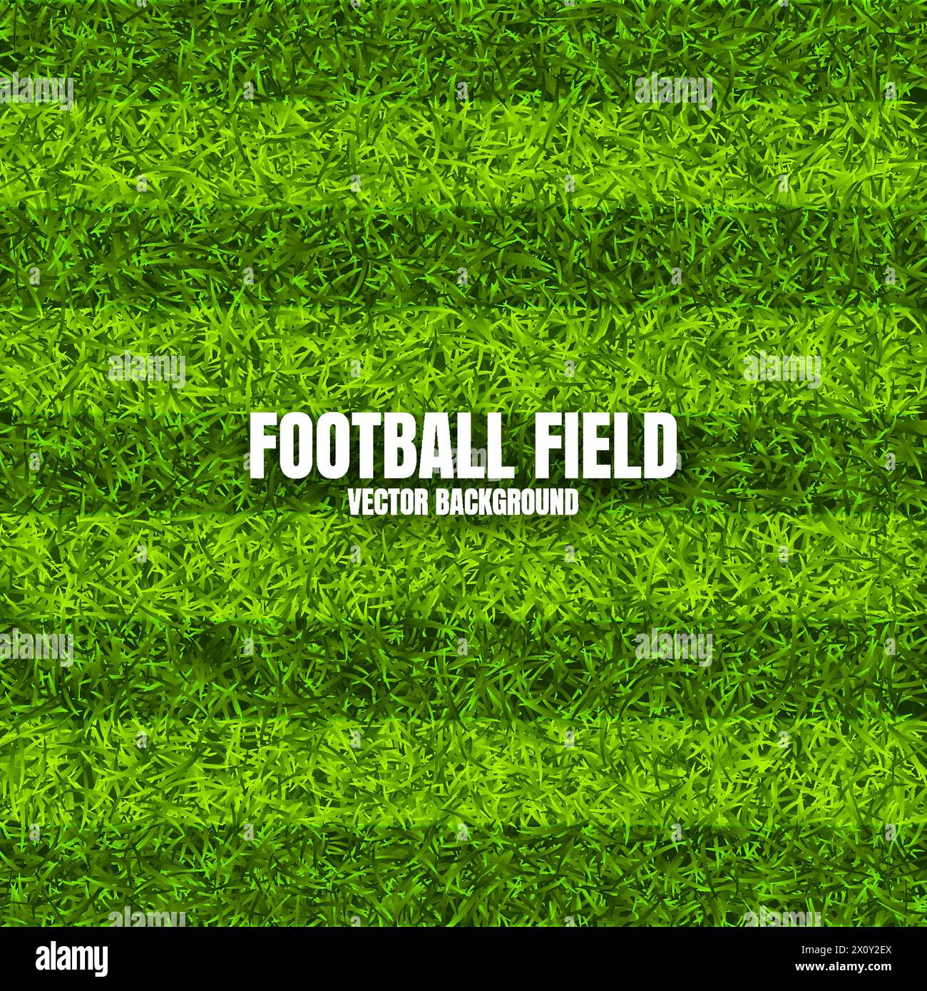 Soccer playing field with green grass. Football pitch background with ...