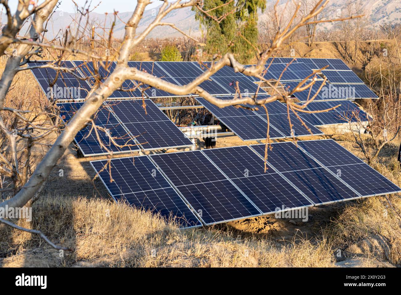 solar panel farm in countryside. Renewable energy concept Stock Photo ...