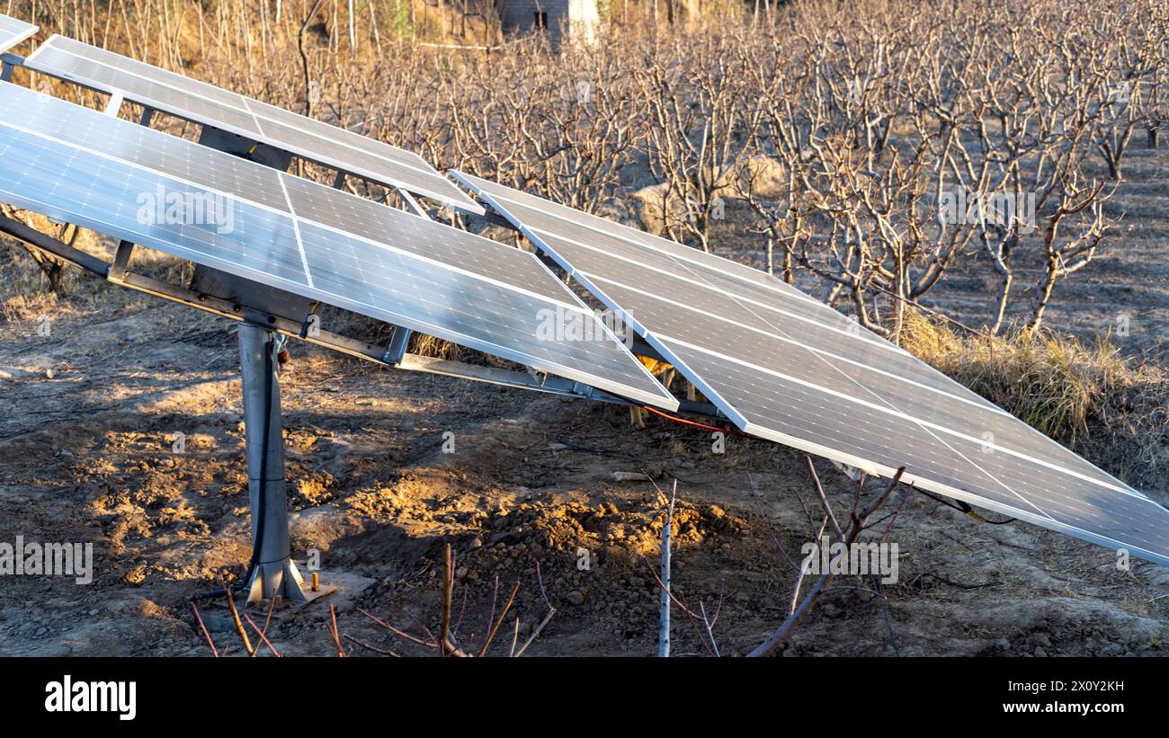 Solar panel plant for generation of renewable photovoltaic energy for ...