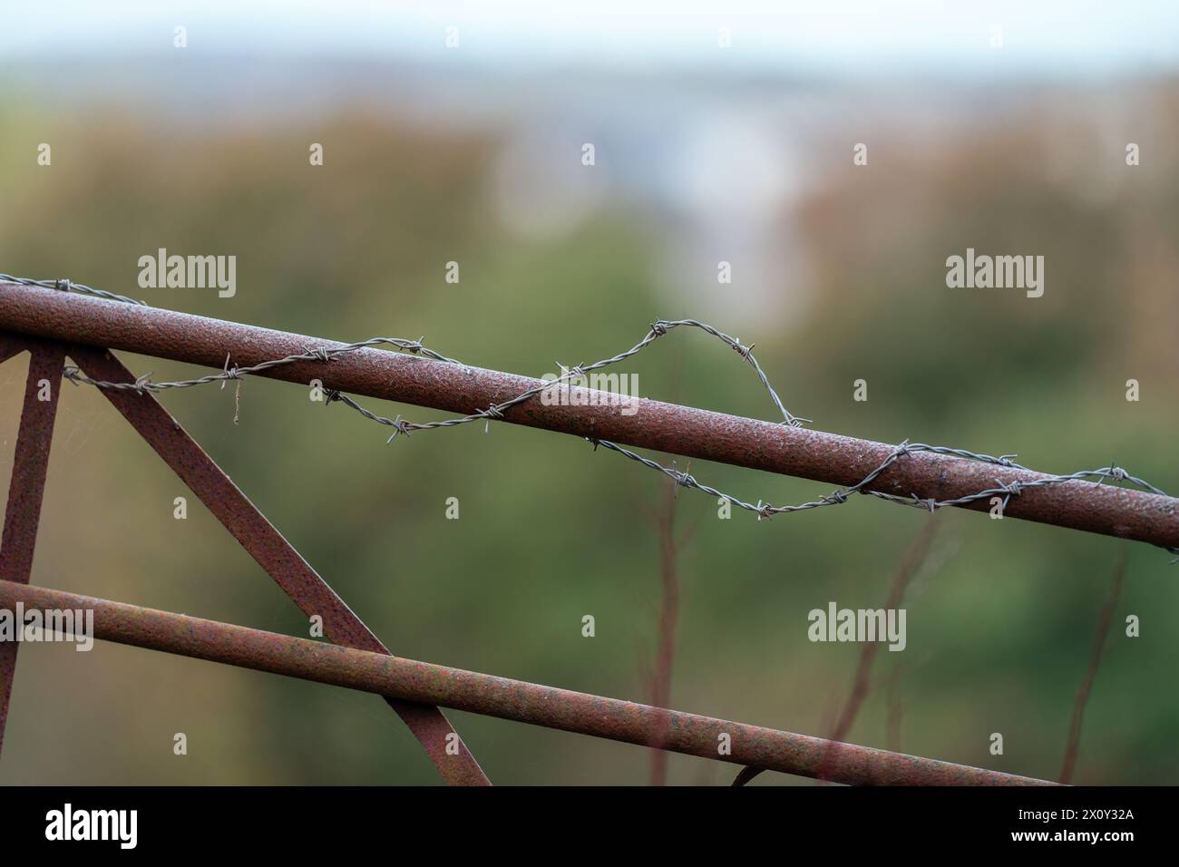 Image of barbed wire wrapped around a rusty metal gate near Wath Brow ...