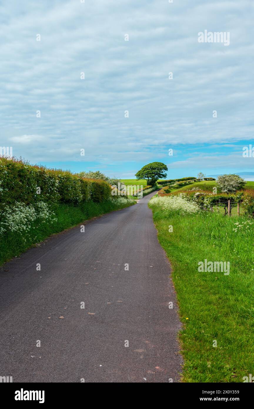 Red Beck Road from Cleator Moor towards Lamplugh Stock Photo - Alamy