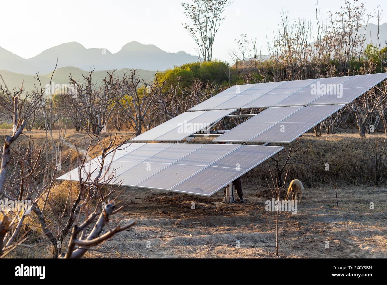 Solar panels of photovoltaic energy in a green meadow Stock Photo - Alamy