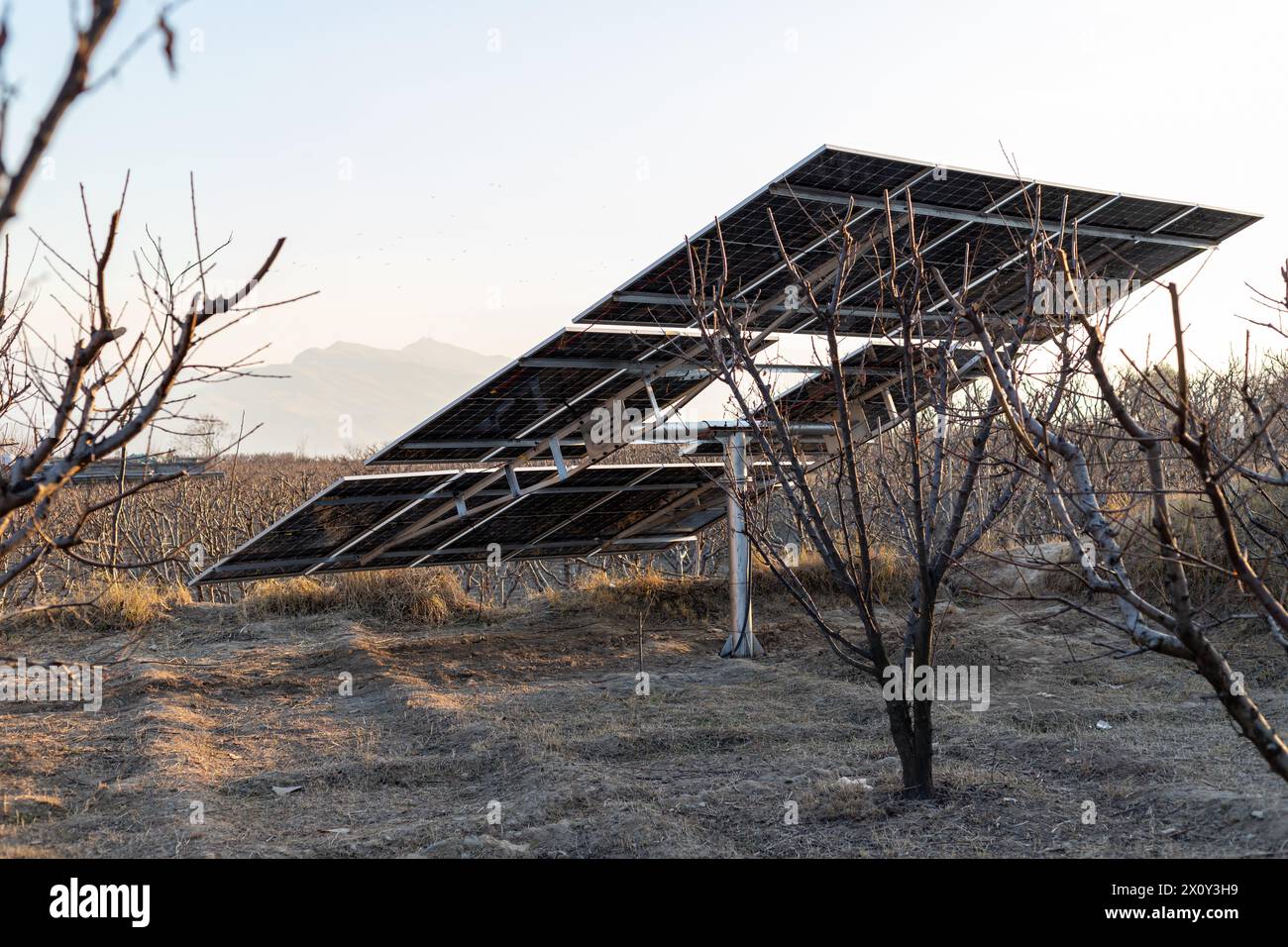 Back side of solar panels on green grass and sky background. Solar ...