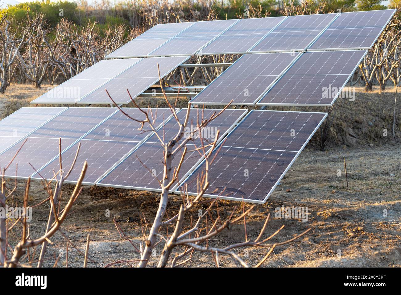 power solar panel for agriculture in a rural houses area Agricultural ...