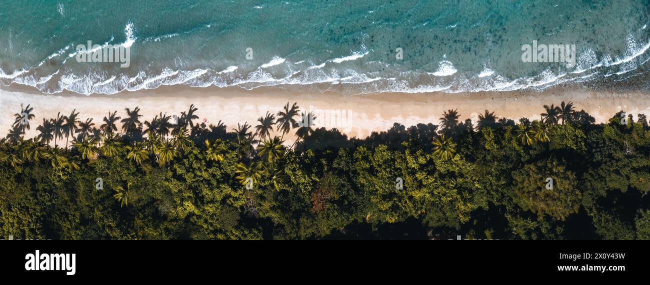 Aerial drone shot of Bingil Bay Beach at Mission Beach, Tropical North ...
