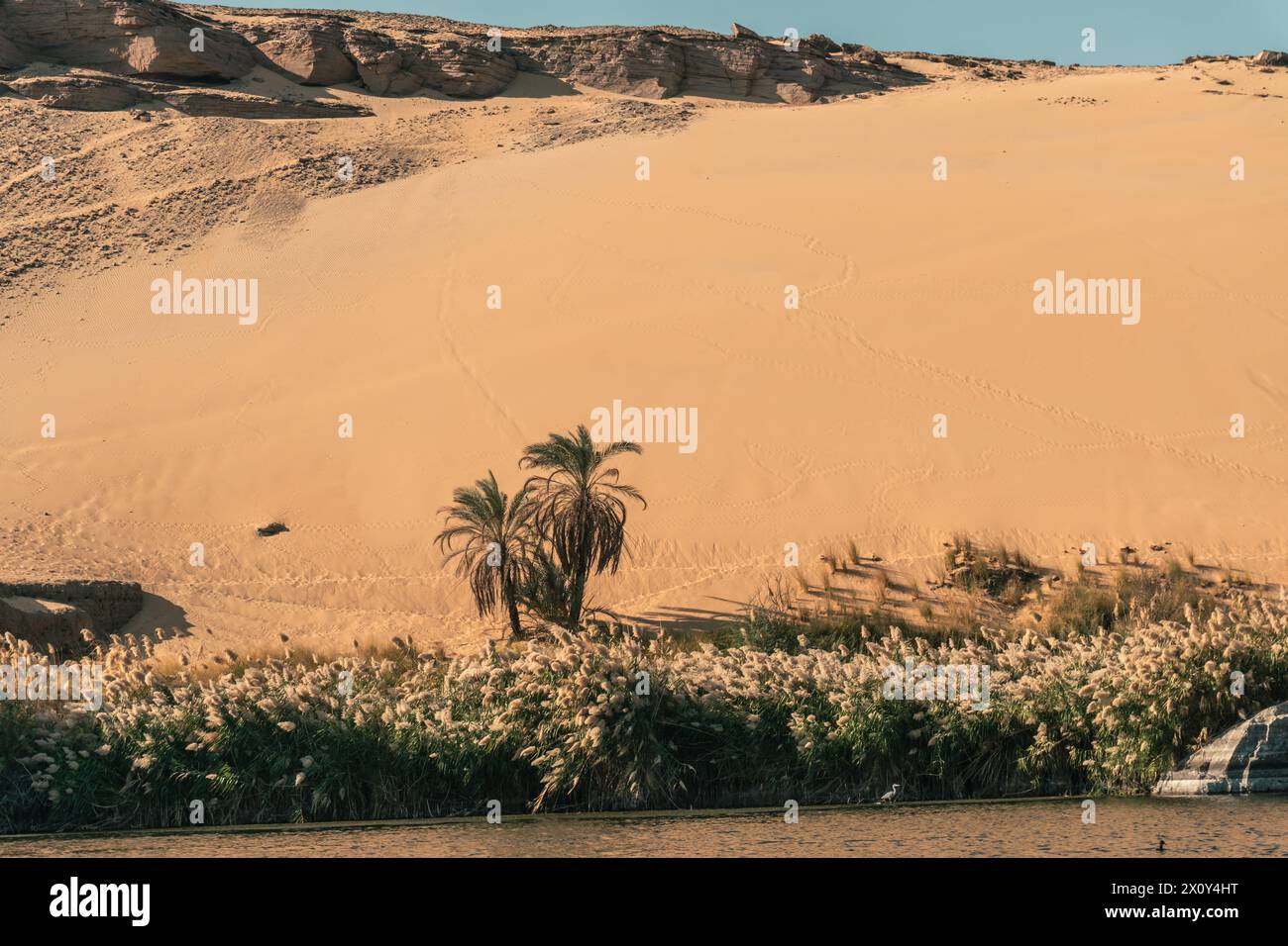 Nile river bank oases landscape in Egypt Stock Photo - Alamy