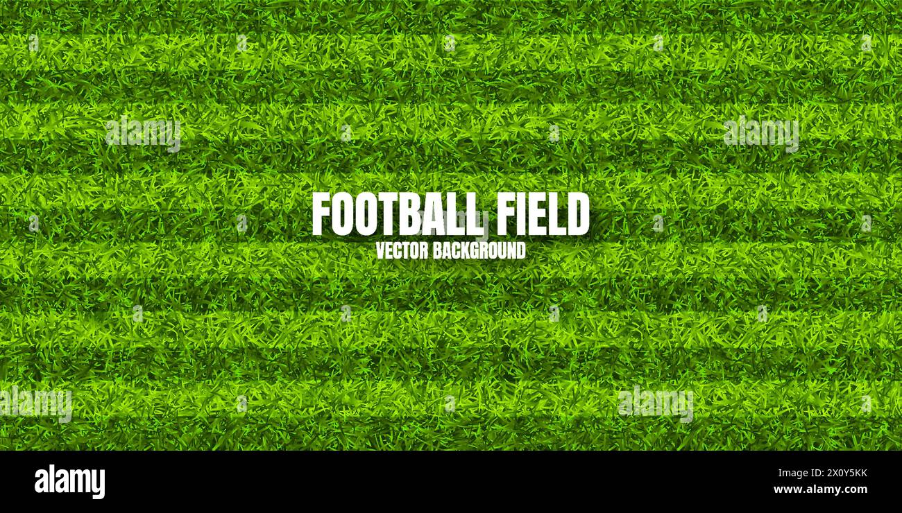 Soccer playing field with green grass. Football pitch background with ...