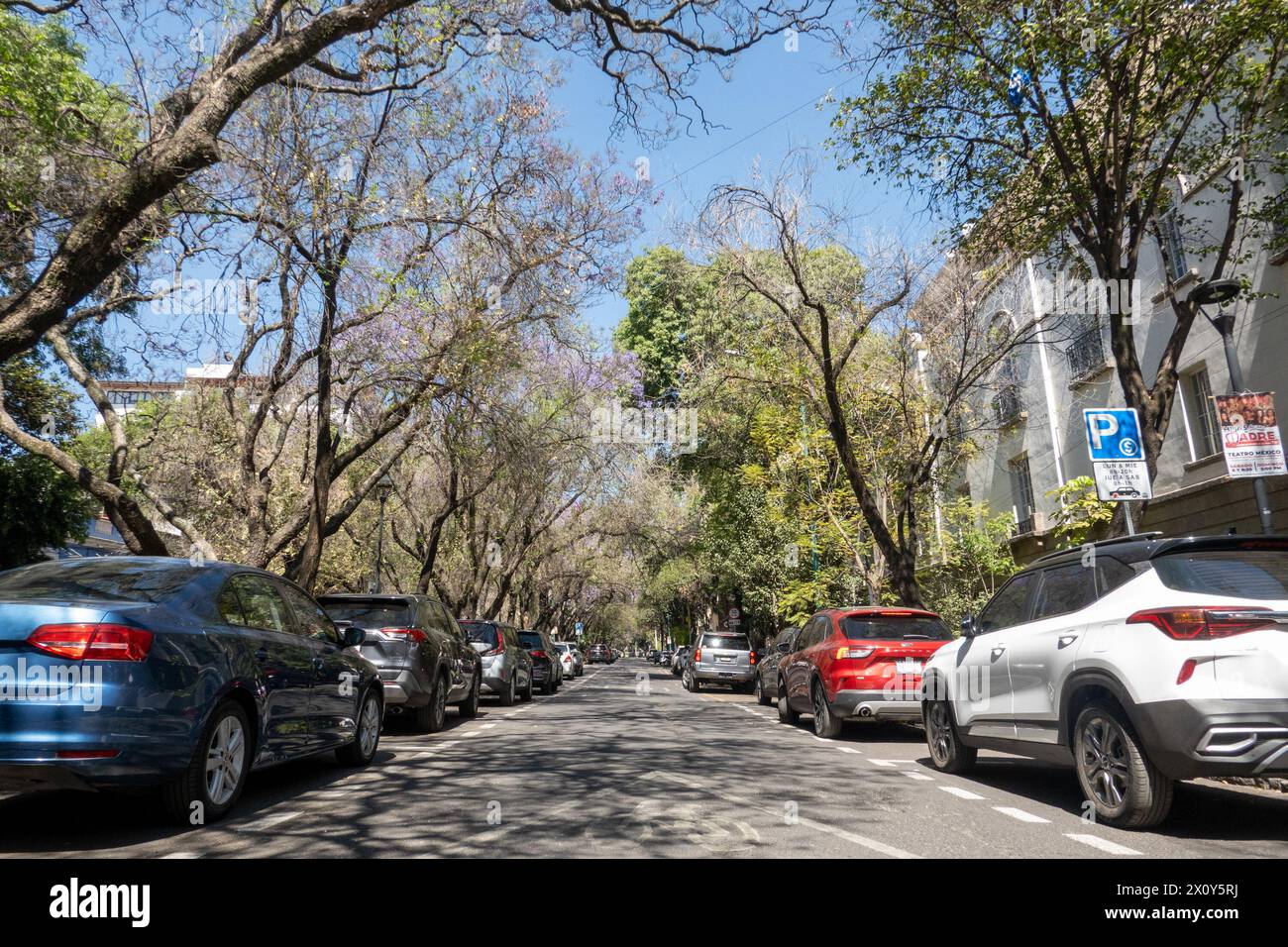 View of tree-lined street in Condesa neighborhood of Mexico City. The ...