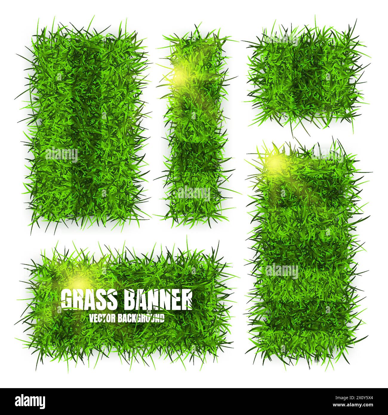 Green grass banners, background. Field, meadow texture, grassy ...