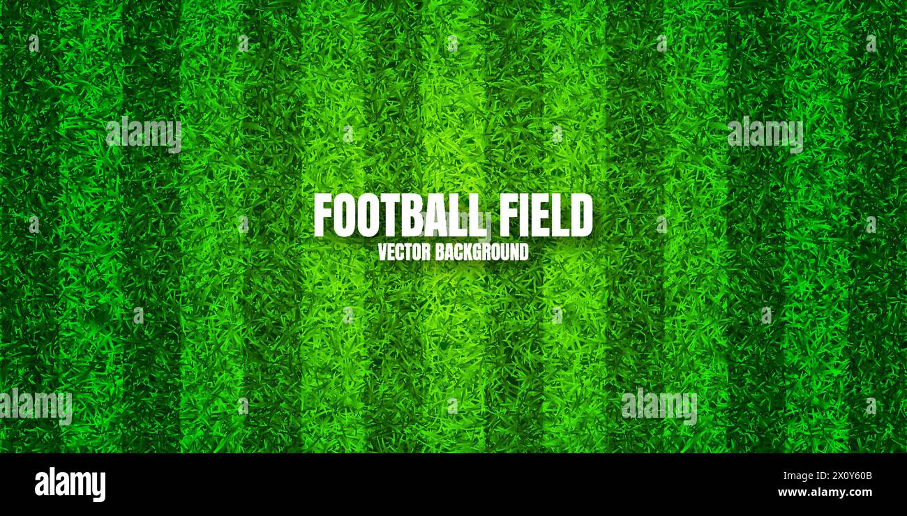 Soccer playing field with green grass. Football pitch background with ...