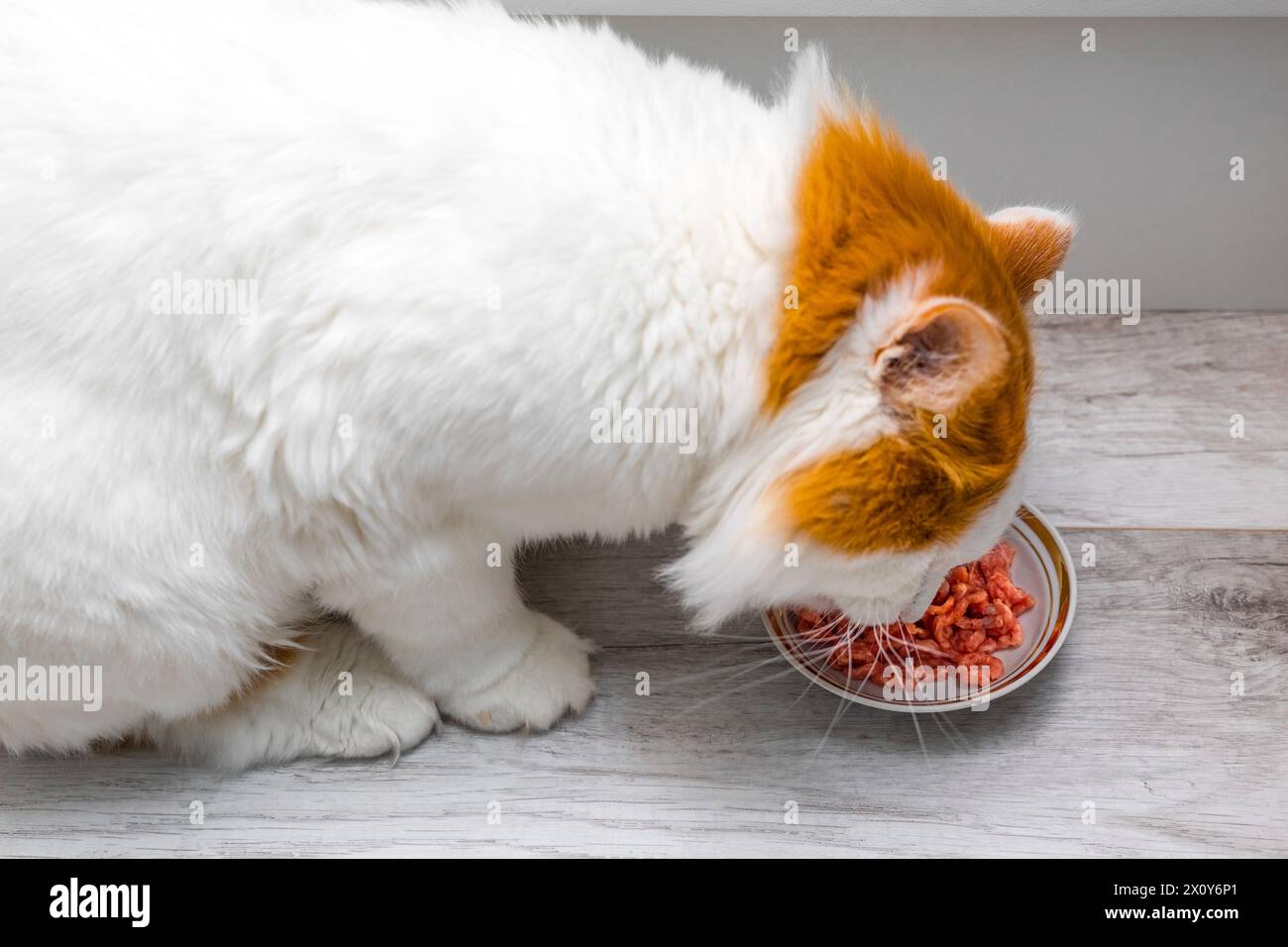 Well eats hi-res stock photography and images - Alamy