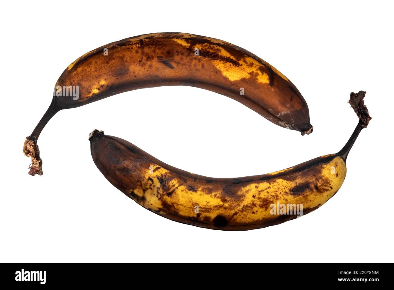 Rotten bananas on a white background close-up. Spoiled Banana Isolate ...