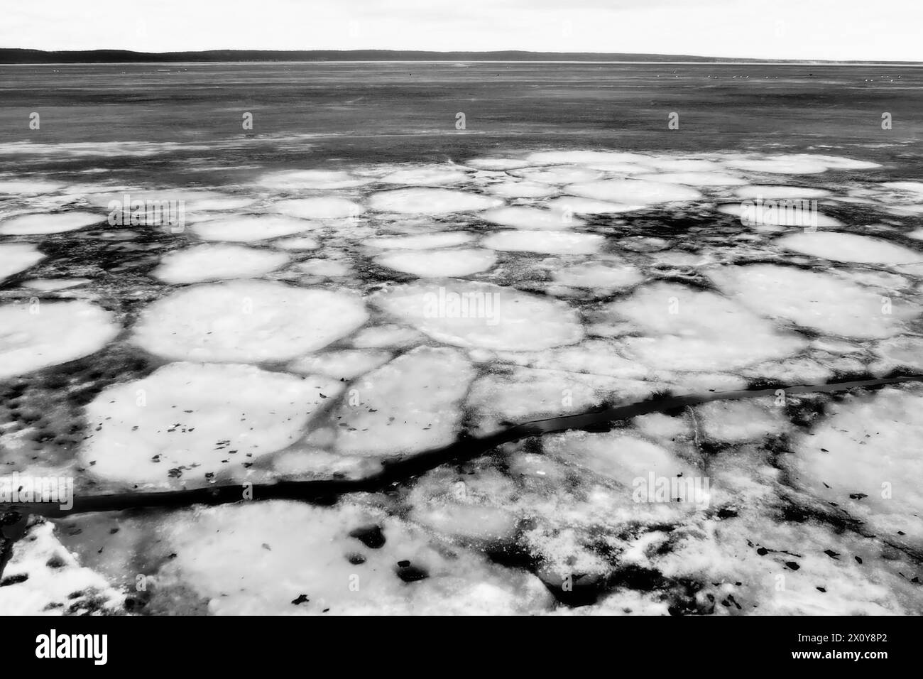 Ice drift in spring on Lake Onega, Karelia. Dangerous thin spring ice ...