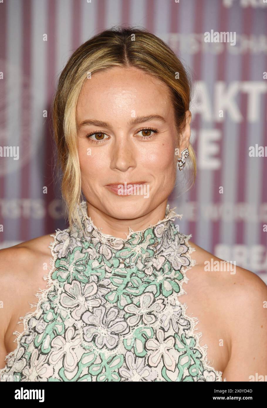 LOS ANGELES, CALIFORNIA - APRIL 13: Brie Larson attends the 10th Annual ...