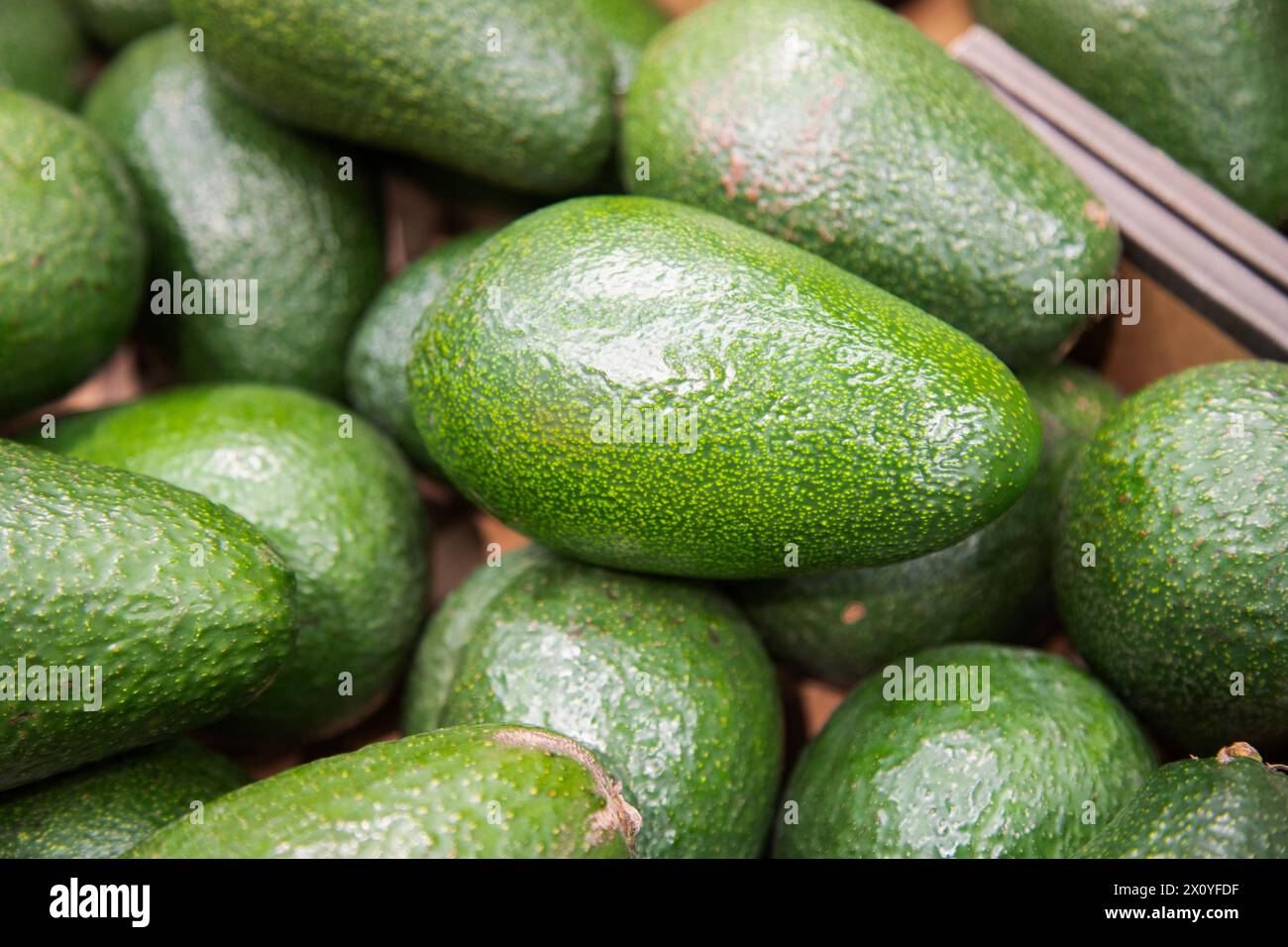 Avocado display hi-res stock photography and images - Alamy