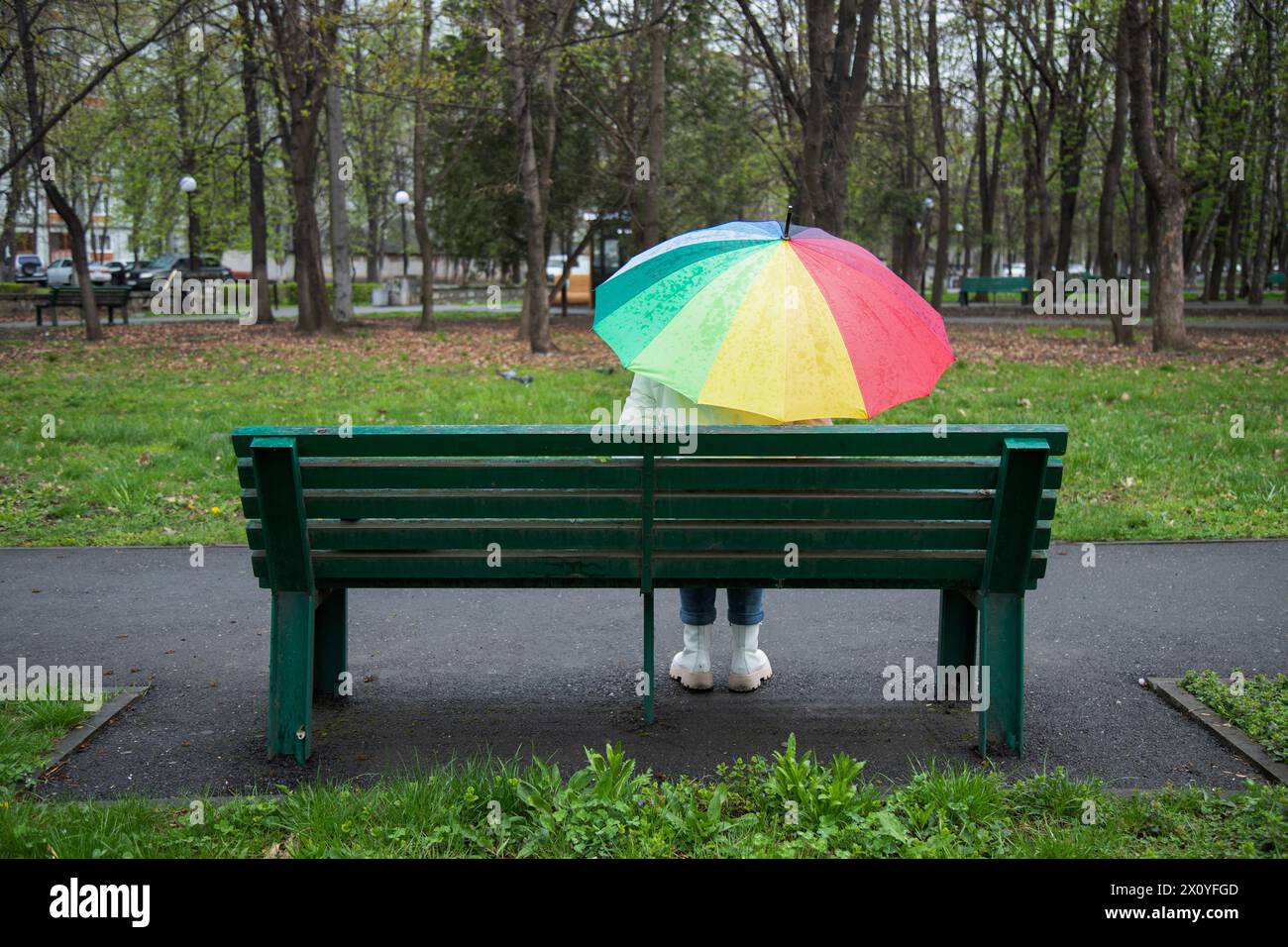 Woman with rainbow umbrella sitting on bench in autumn park . Back view ...