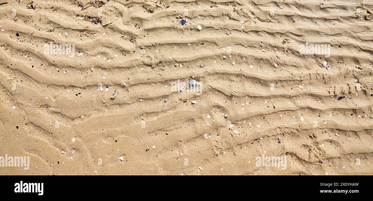 Sand texture. Sand bottom by the sea. Sea sand bottom in the shape of ...