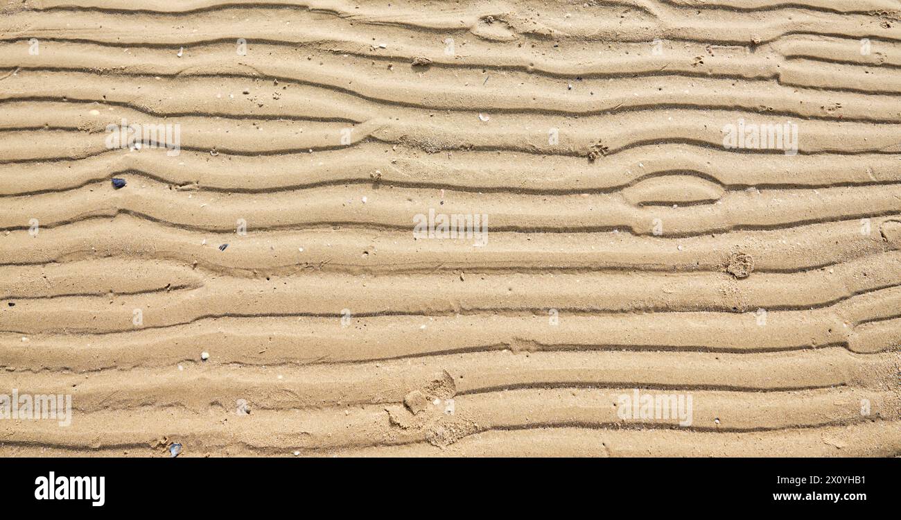 Sand texture. Sand bottom by the sea. Sea sand bottom in the shape of ...