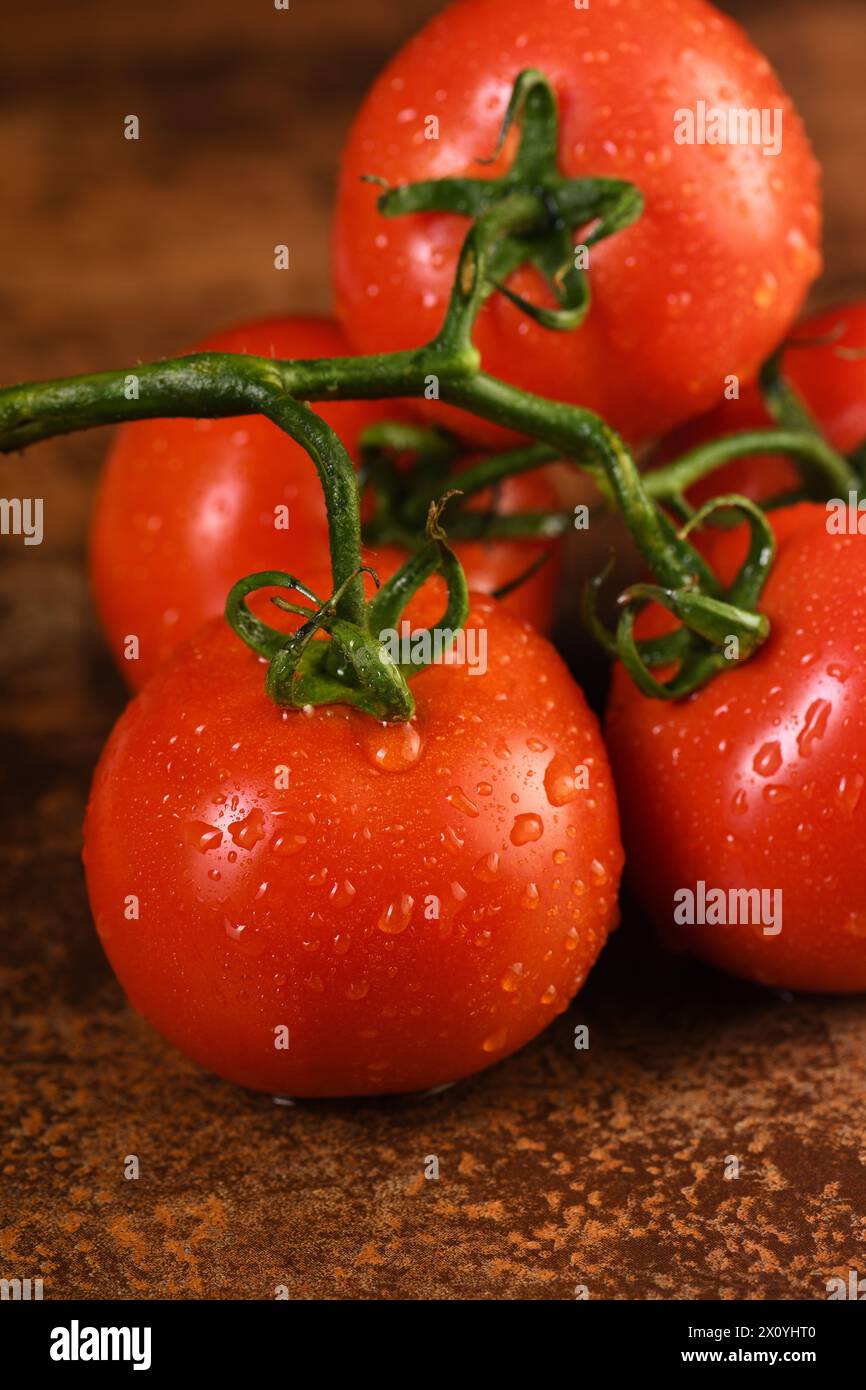 Fresh ripe red tomato branch on a rusty, redhead table with water drops ...