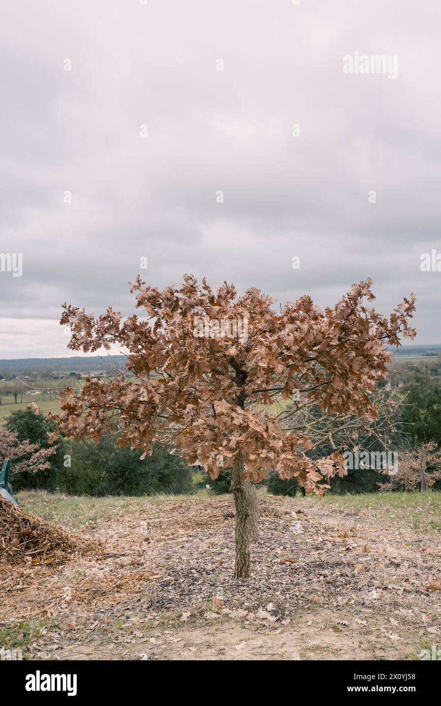 Realville hi-res stock photography and images - Alamy