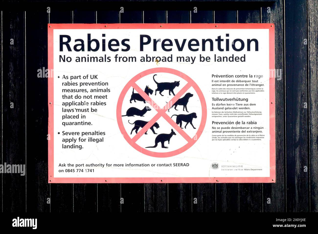 Rabies prevention hi-res stock photography and images - Alamy