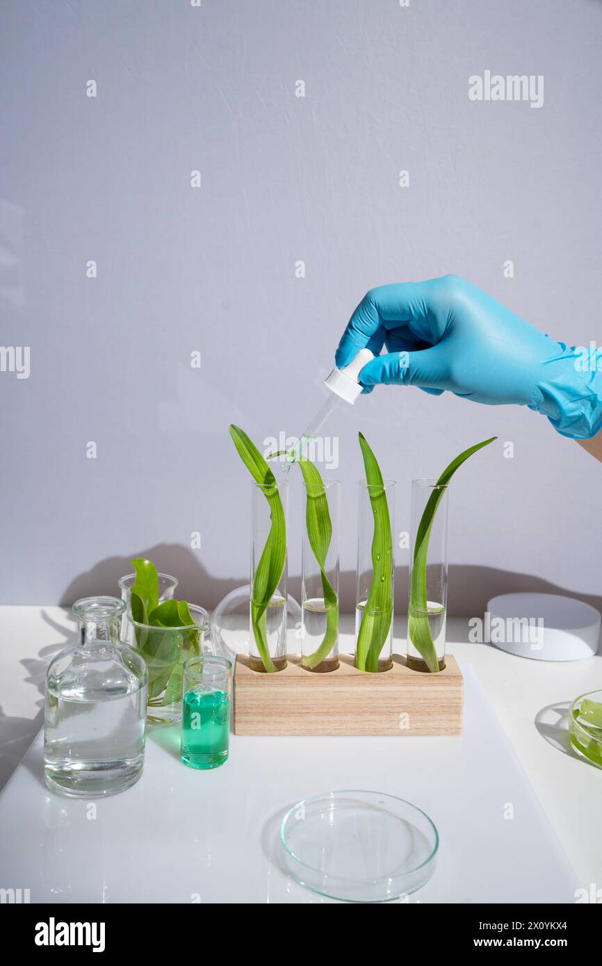 Science and nature concept Stock Photo - Alamy