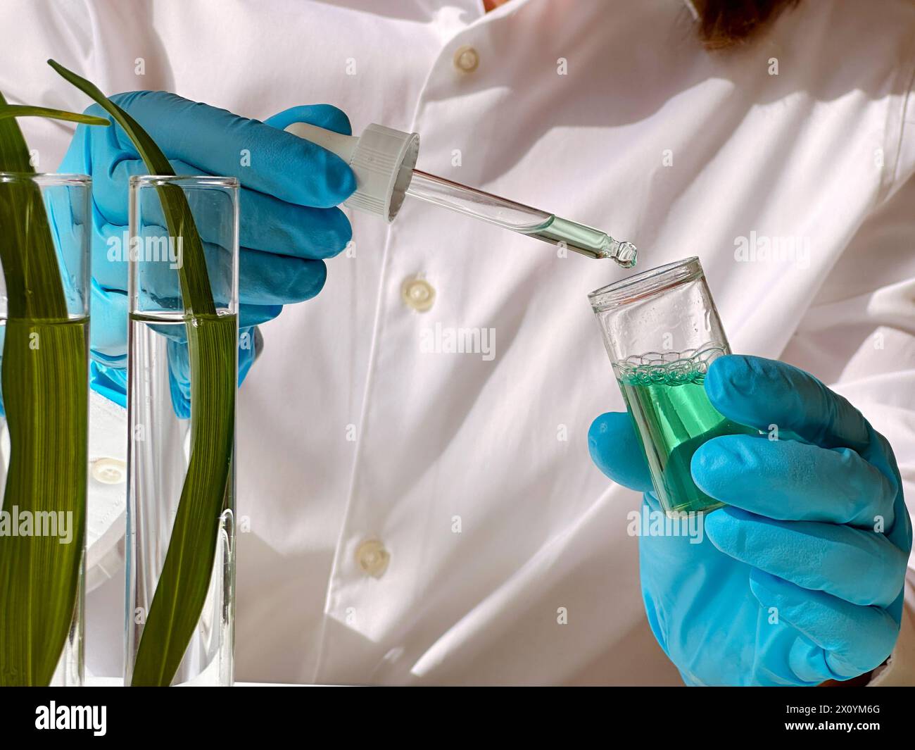 Science and nature concept, green laboratory with researcher inspecting ...