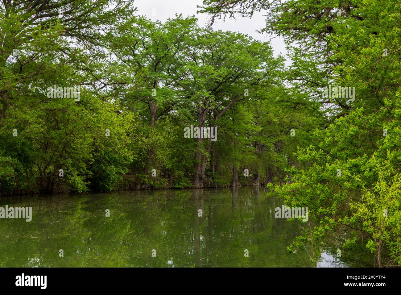 Scenic View of the Bandera City Park, Texas, just before the solar ...
