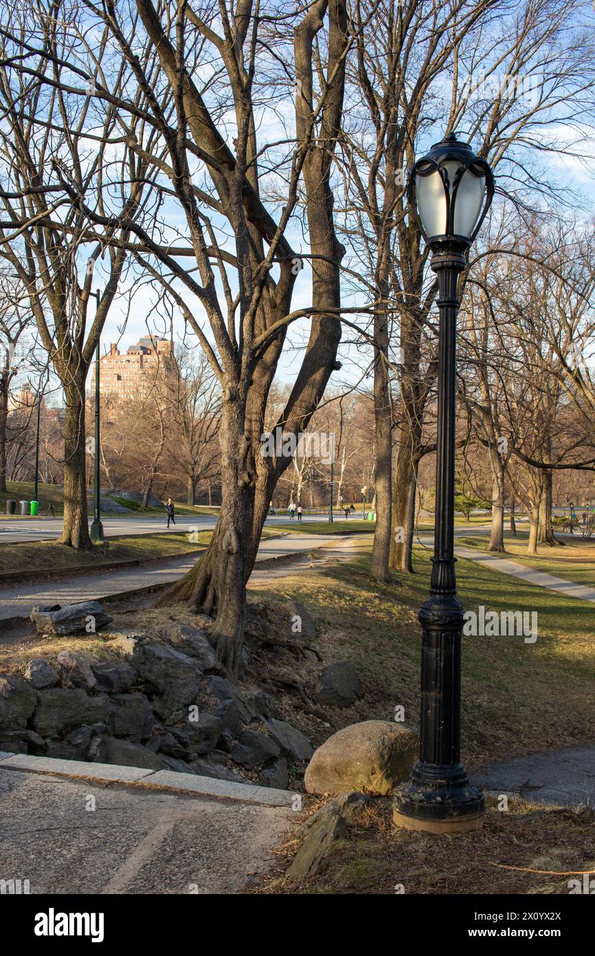 View of lamp post and oak trees in central park with persons jogging ...