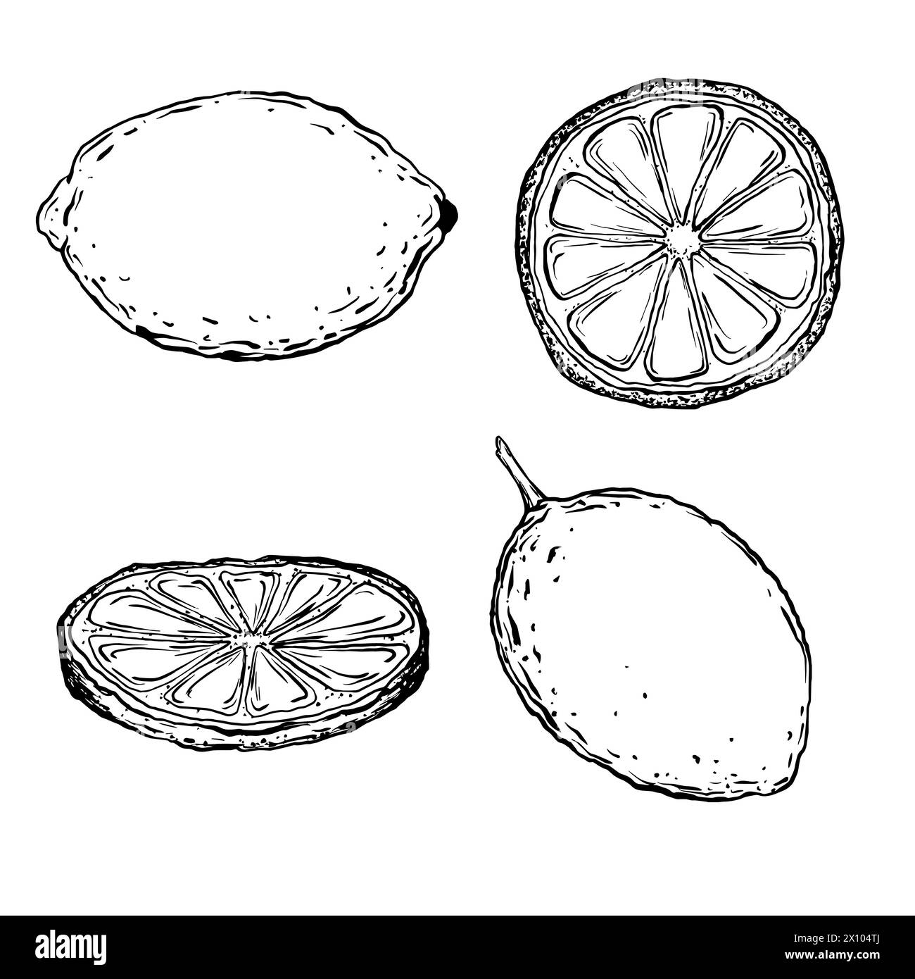 Vector Set juicy Lemons with leaves on the branches with flowers ...